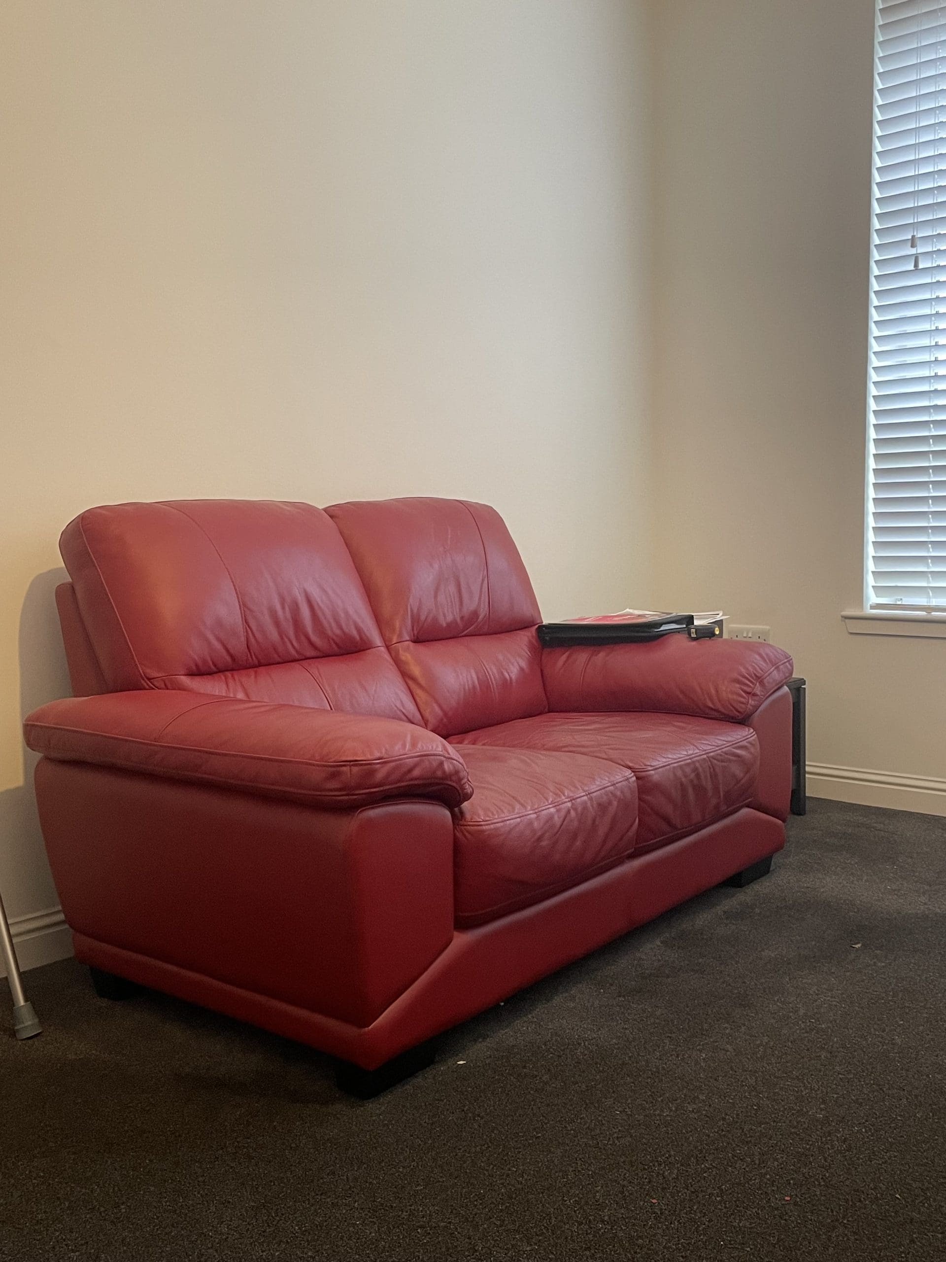 Red leather couch living room store